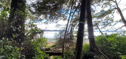 Best Hikes and Trails in Alert Bay | AllTrails