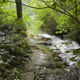 The Blue Ridge Escarpment, North Carolina - 159 Reviews, Map | AllTrails