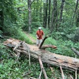 The Blue Ridge Escarpment, North Carolina - 159 Reviews, Map | AllTrails