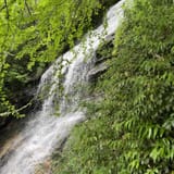 The Blue Ridge Escarpment, North Carolina - 159 Reviews, Map | AllTrails