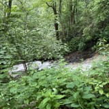 The Blue Ridge Escarpment, North Carolina - 159 Reviews, Map | AllTrails