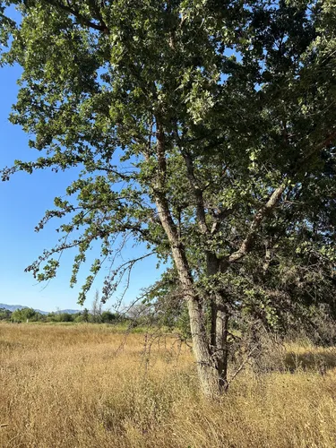 Best Hikes and Trails in Sepulveda Basin Wildlife Reserve | AllTrails