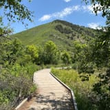 Cascade Springs Interpretive Trail, Utah - 425 Reviews, Map | AllTrails
