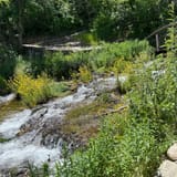 Cascade Springs Interpretive Trail, Utah - 425 Reviews, Map | AllTrails