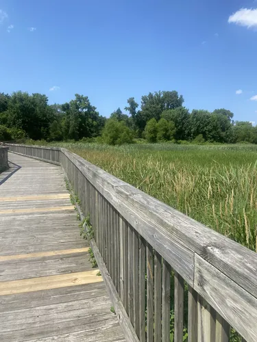2023 Best Lake Trails in Arcola | AllTrails