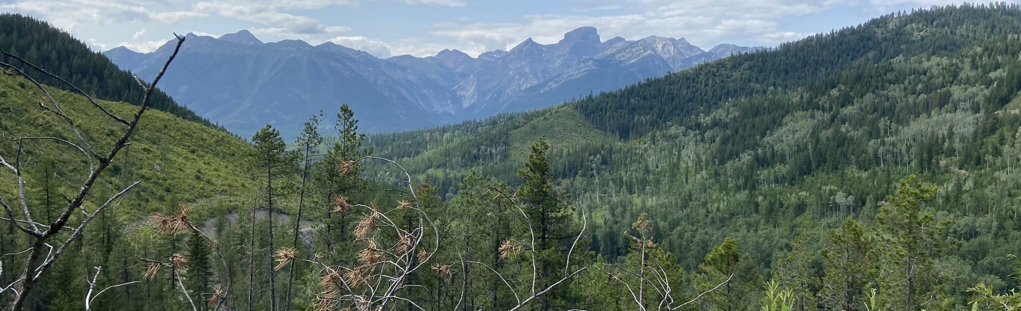 Ammonite Fossil via Coal Creek, British Columbia, Canada - 137 Reviews, Map | AllTrails