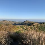 Getty View Trail, California - 794 Reviews, Map | AllTrails