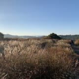 Getty View Trail, California - 794 Reviews, Map | AllTrails