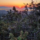 Temple Loop, Utah - 229 Reviews, Map | AllTrails