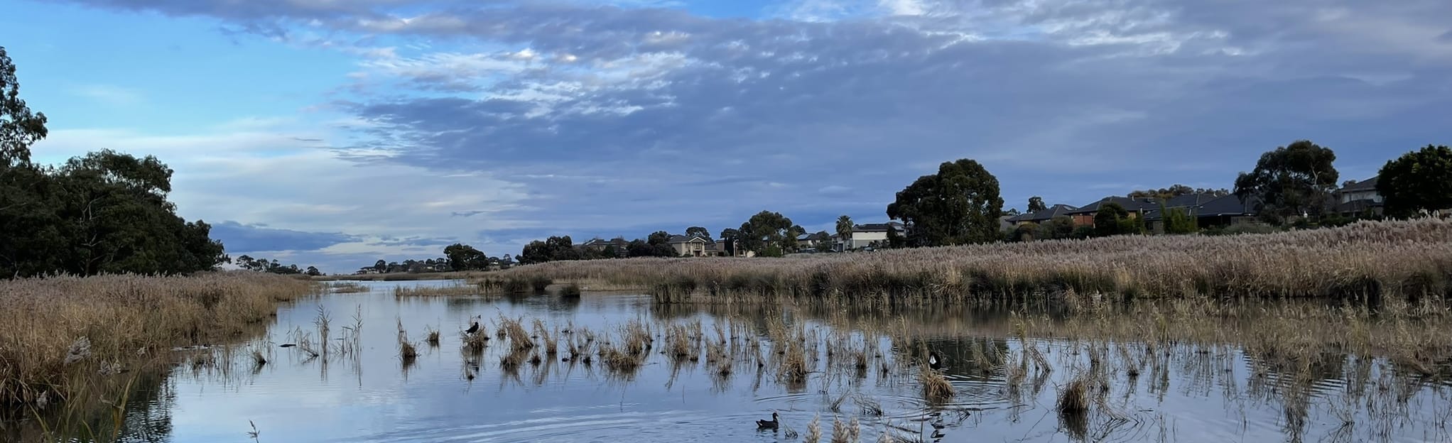 Skeleton Creek Trail to Cheetham Wetlands: 73 Reviews, Map - Victoria ...
