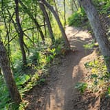 Kays Creek Parkway, Utah - 728 Reviews, Map | AllTrails