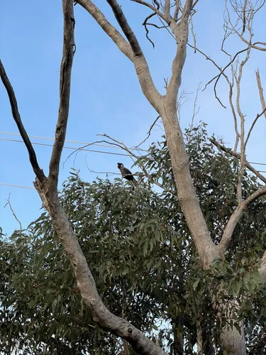 Best Hikes and Trails in Greenmount National Park | AllTrails