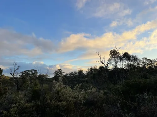 Best Hikes and Trails in Greenmount National Park | AllTrails