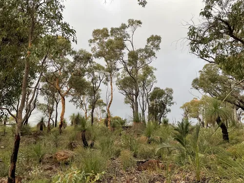 Best Hikes and Trails in Greenmount National Park | AllTrails