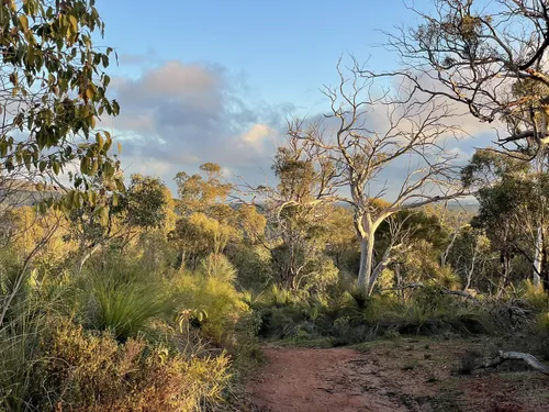 Best Hikes and Trails in Greenmount National Park | AllTrails