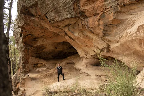 Best Hikes and Trails in Pilliga National Park | AllTrails