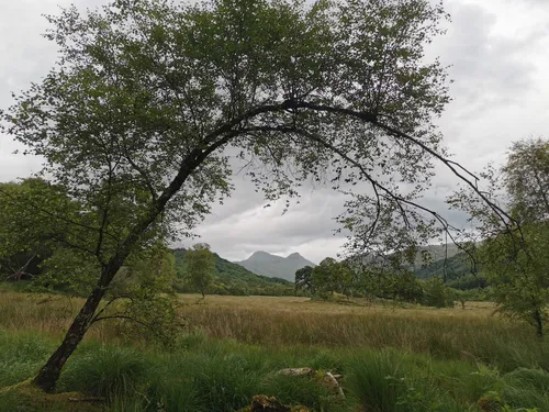 Best Hikes and Trails in Ariundle Oakwood National Nature Reserve ...