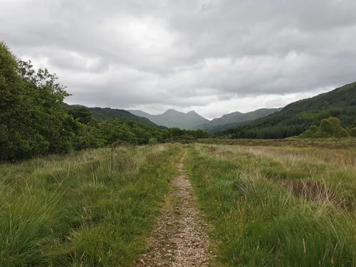 Best Hikes and Trails in Ariundle Oakwood National Nature Reserve ...