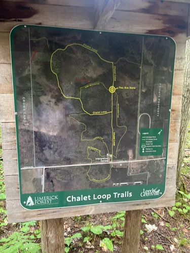 2023 Best 10 Snowshoeing Trails in Limerick Forest South | AllTrails