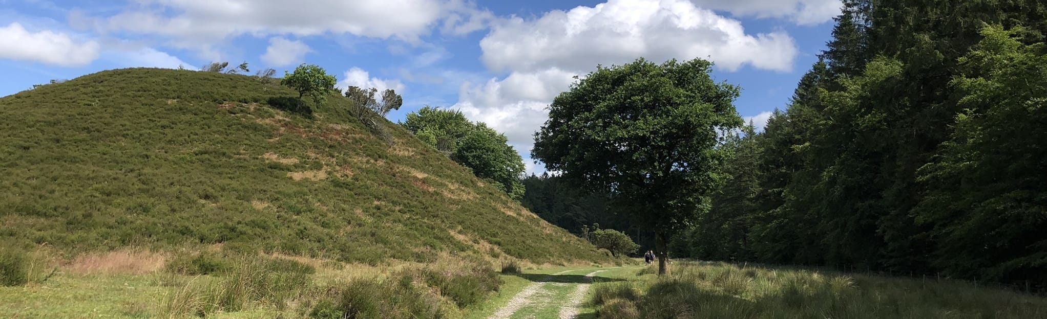 Rold Skov - Urskoven - Rebild Bakker: 7 Reviews, Map - North Denmark ...