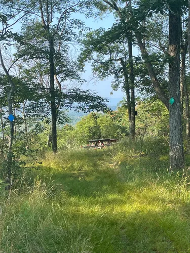 Best Hikes and Trails in Red Wing Recreation Area | AllTrails