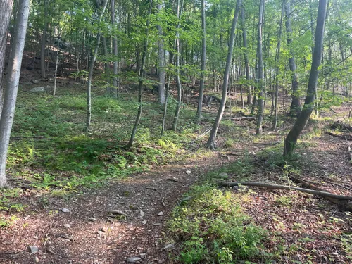Best Hikes and Trails in Red Wing Recreation Area | AllTrails