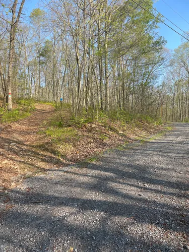 Best Hikes and Trails in Red Wing Recreation Area | AllTrails