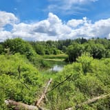 Painted Rocks Nature Trail, Washington - 701 Reviews, Map | AllTrails