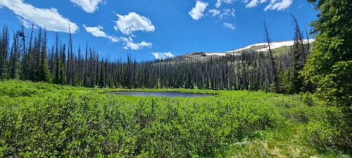 Best Hikes and Trails in Powderhorn Wilderness | AllTrails