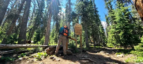 Best Hikes and Trails in Powderhorn Wilderness | AllTrails