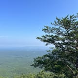 (Doug Ghee) Bald Rock Boardwalk, Alabama - 501 Reviews, Map | AllTrails