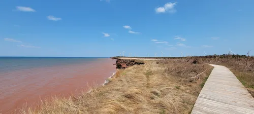 2023 Best Trails, Walks, and Paths in Seacow Pond | AllTrails