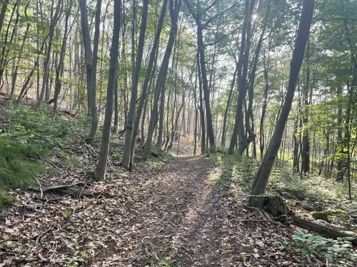 Best Hikes and Trails in Red Wing Recreation Area | AllTrails
