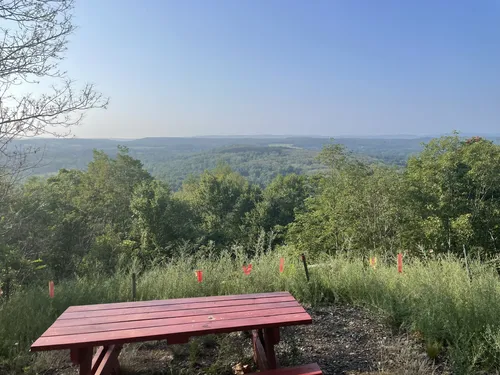 Best Hikes and Trails in Red Wing Recreation Area | AllTrails