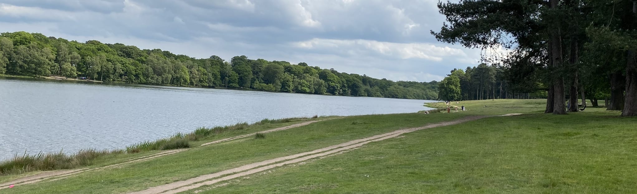 Tatton Mere Short Circular, Cheshire, England - 32 Reviews, Map | AllTrails