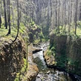 Eagle Creek Trail, Oregon - 798 Reviews, Map | AllTrails