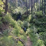 Eagle Creek Trail, Oregon - 798 Reviews, Map | AllTrails