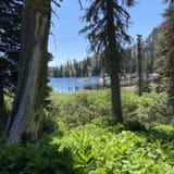 Blue Lake Trail, Idaho - 422 Reviews, Map | AllTrails