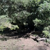 Red Lake Trail, Utah - 265 Reviews, Map | AllTrails