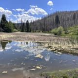 Red Lake Trail, Utah - 265 Reviews, Map | AllTrails