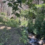 Red Lake Trail, Utah - 265 Reviews, Map | AllTrails