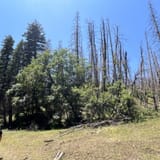 Red Lake Trail, Utah - 265 Reviews, Map | AllTrails