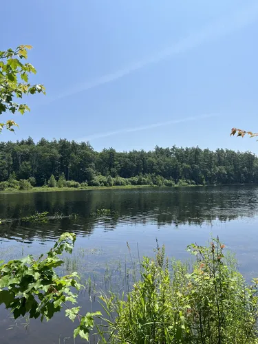 Best Hikes and Trails in Dover | AllTrails