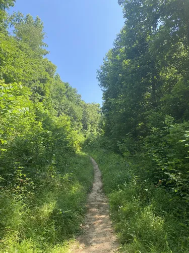 Best Hikes and Trails in Rotary Park | AllTrails
