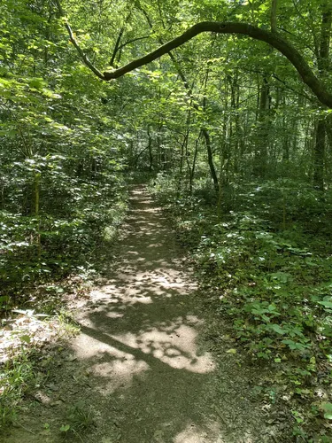 Best Hikes and Trails in Rotary Park | AllTrails
