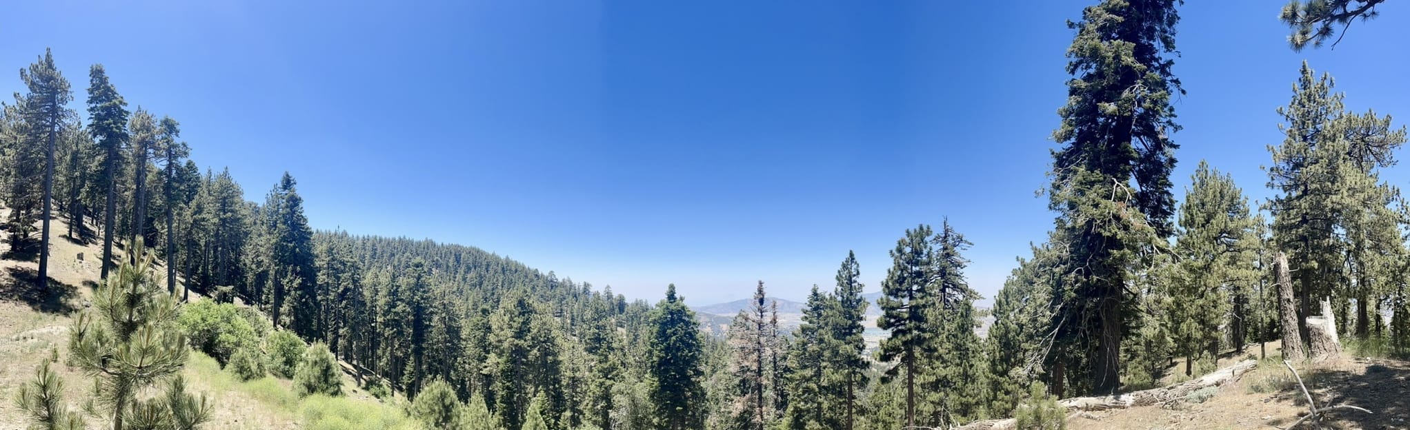 Tehachapi Mountain Trail, California - 881 Reviews, Map | AllTrails