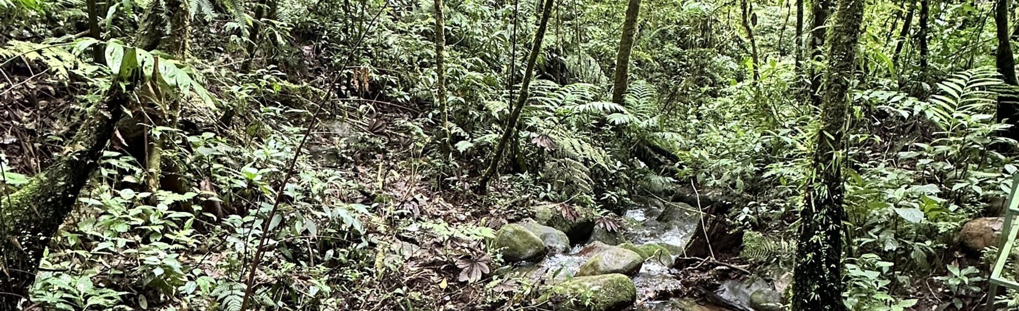 Sendero Encantado, Guanacaste, Costa Rica - 40 Reviews, Map | AllTrails