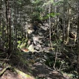 Kinsman Pond via Lonesome Lake and Fishing Jimmy Trail, New Hampshire ...