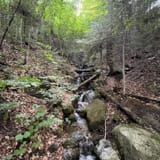 Kinsman Pond via Lonesome Lake and Fishing Jimmy Trail, New Hampshire ...