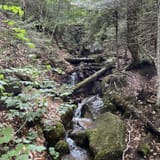 Kinsman Pond via Lonesome Lake and Fishing Jimmy Trail, New Hampshire ...